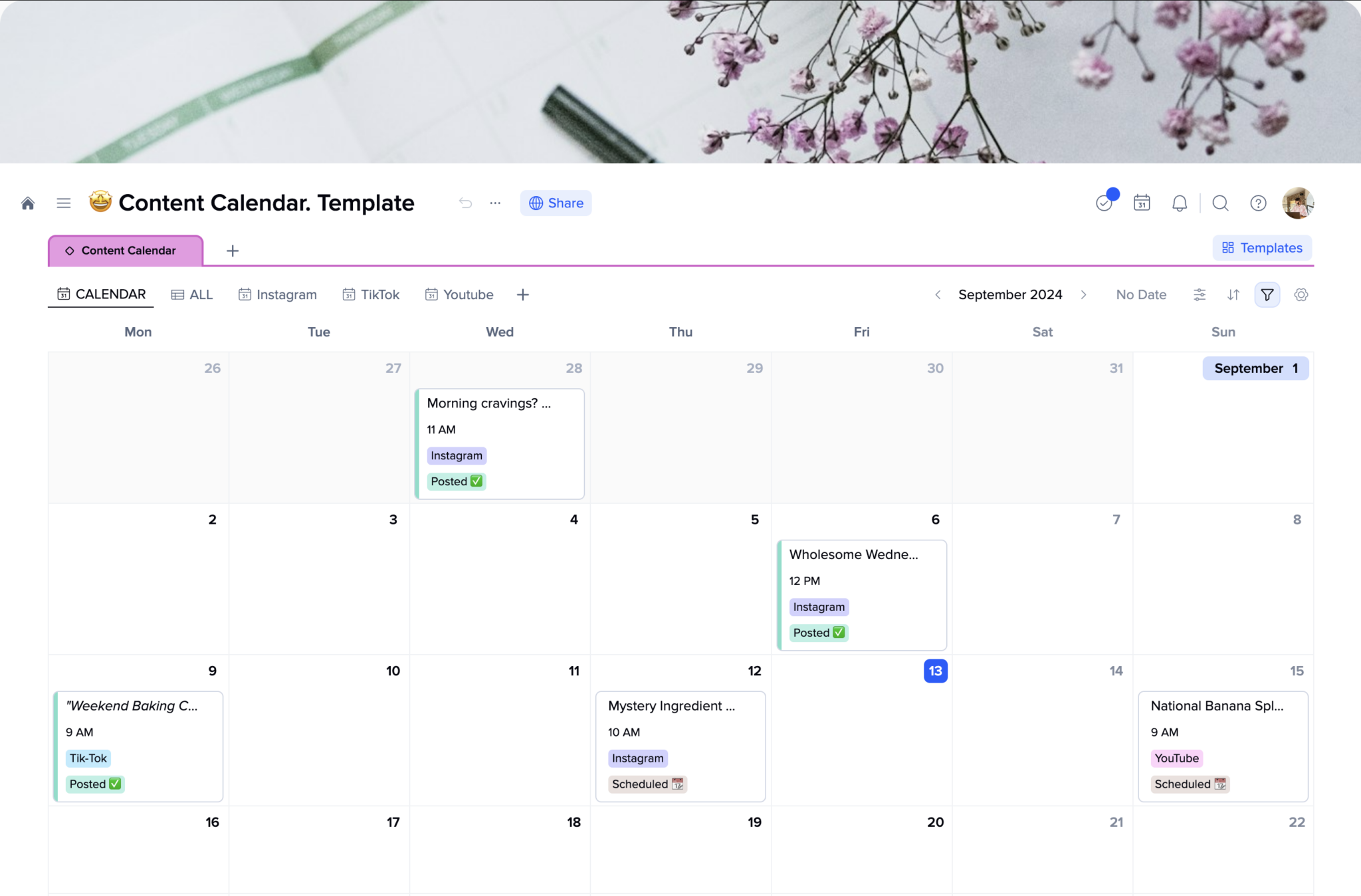 Social Media Calendar template – free app for iOS and Android